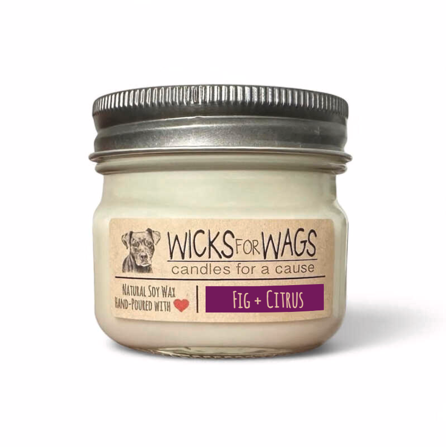 Fig + Citrus | 4.5 oz Mason Jar – Wicks for Wags