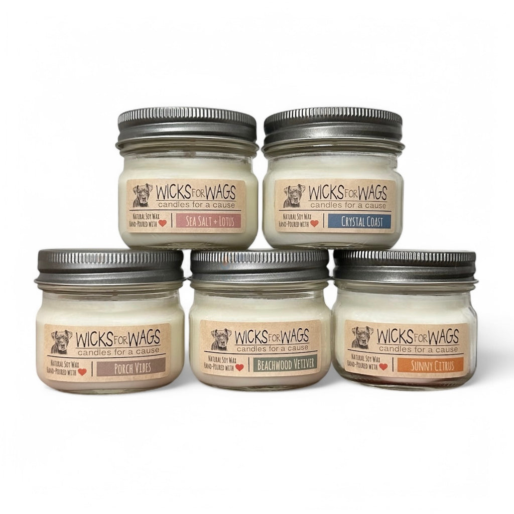 Discounted 5-Pack | 4.5 oz Mason Jars – Wicks for Wags