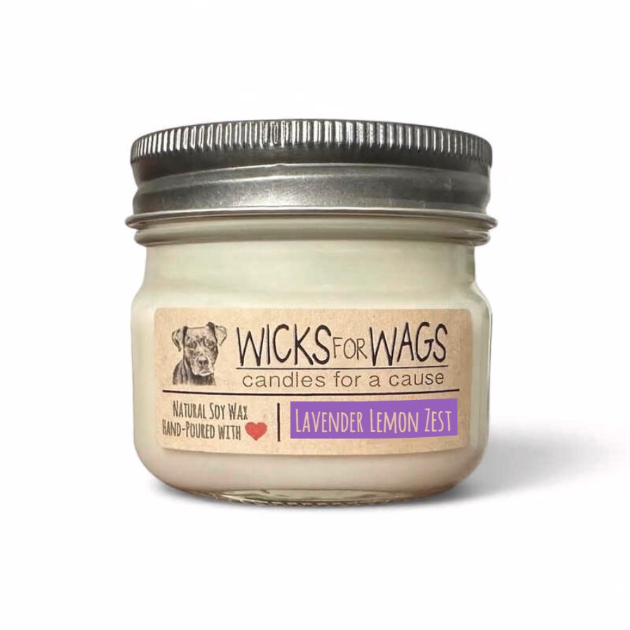 Lavender Lemon Zest | 4.5 oz Mason Jar – Wicks for Wags
