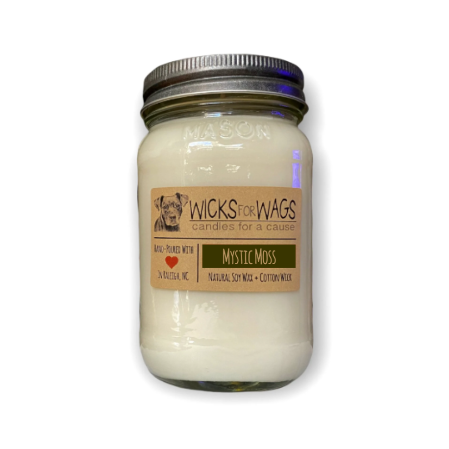 Mystic Moss | Large Mason Jar – Wicks for Wags