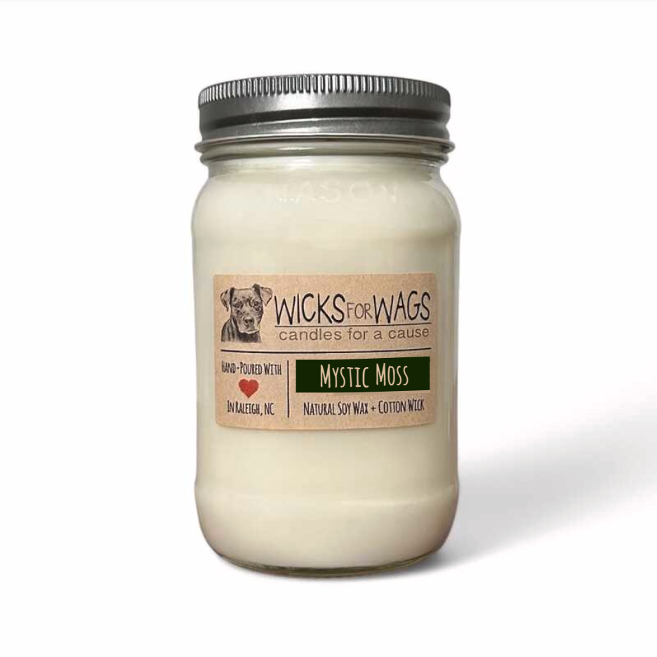 Mystic Moss | Large Mason Jar – Wicks for Wags